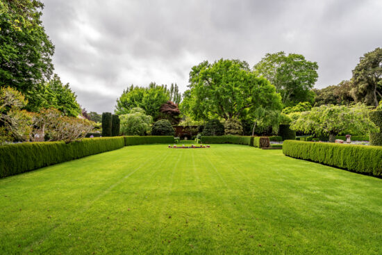 How To Build A Perfect Lawn: A Turf Expert Speaks Out - Here By Design