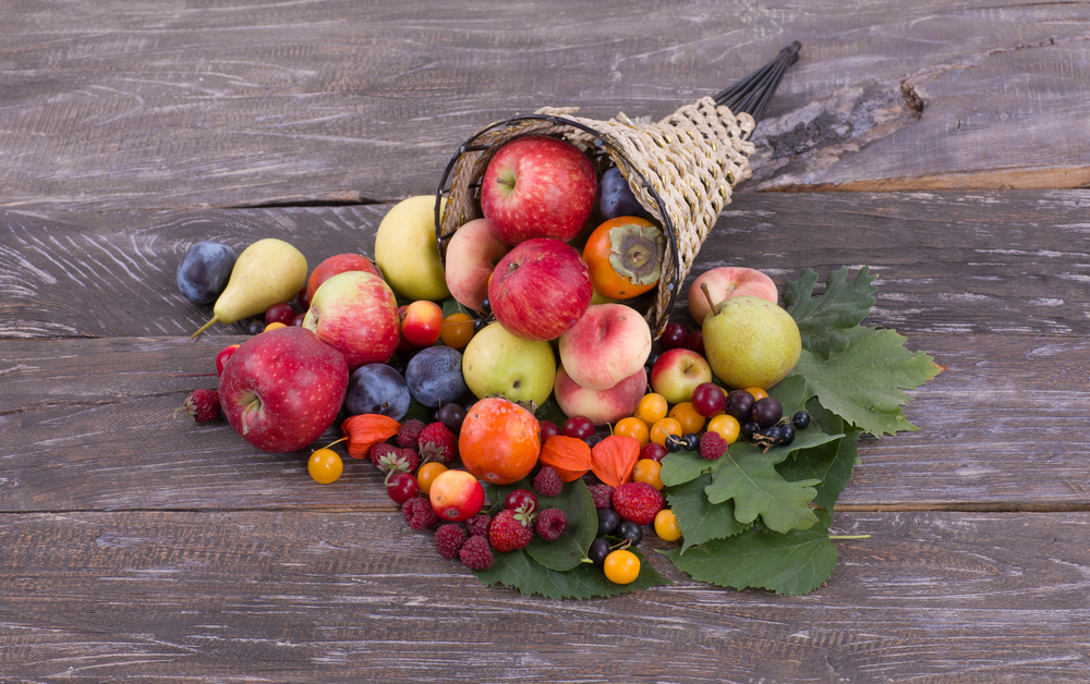 The Story Of The Cornucopia: It's All Greek To Me - Here By Design