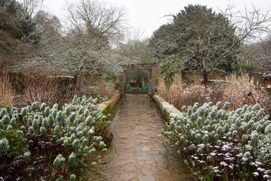 How To Create Winter Interest In The Garden - Here By Design